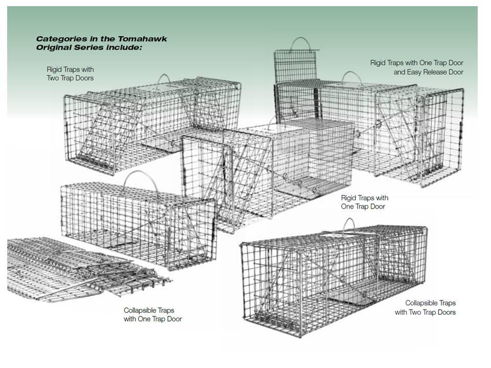 Productos | APSACA CONSULTORES S.C.